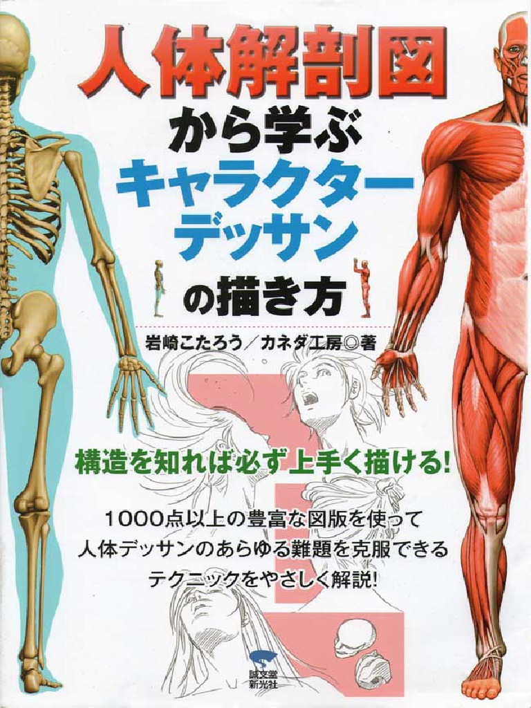 How To Draw Manga Anatomy | PDF