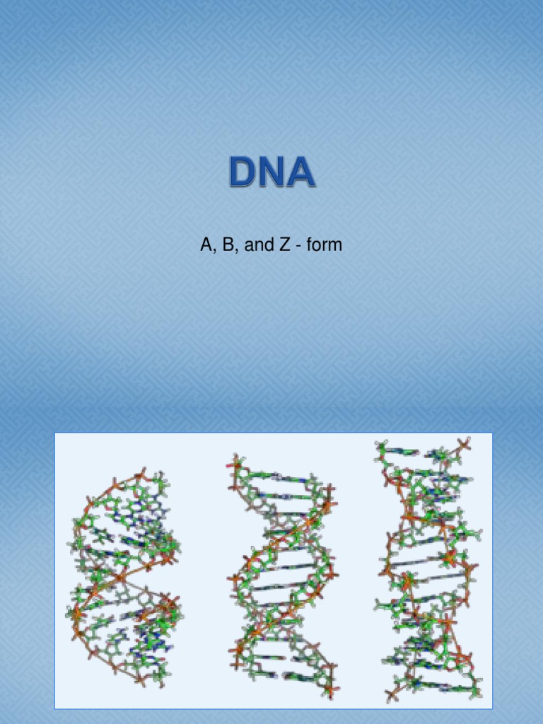 A, B, and Z - Form | PDF | Cooking, Food & Wine | Science & Mathematics