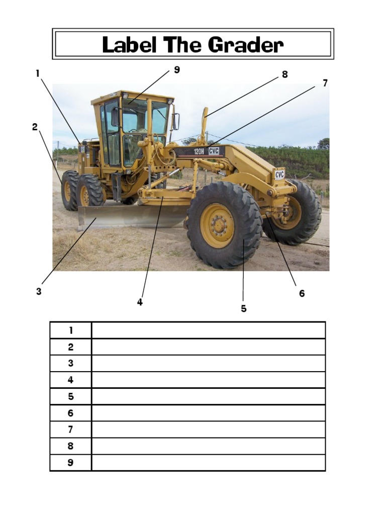 Label The Grader WKST | PDF