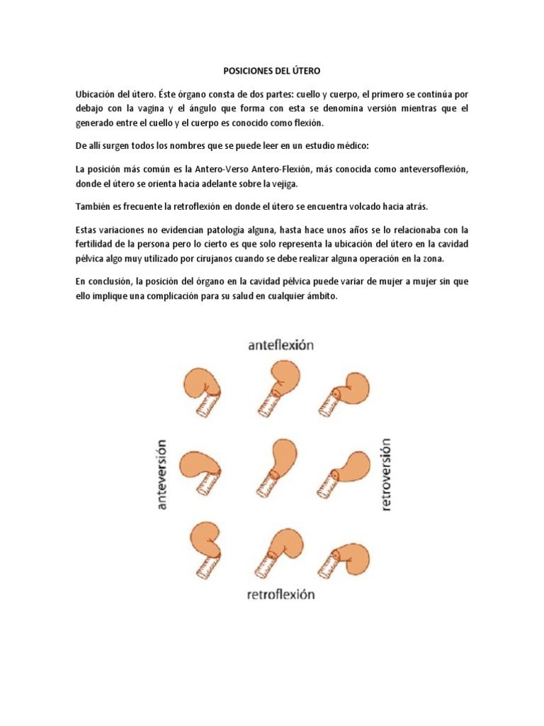 Posiciones del útero: anteversión y retroflexión | PDF | Relaciones ...