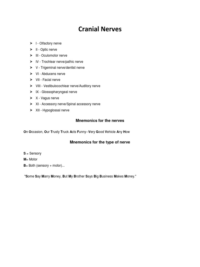 Cranial Nerves: Mnemonics For The Nerves | PDF