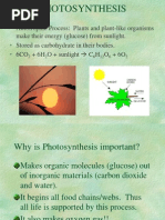 Biology Notes For 7th Grade | PDF | Mitosis | Endoplasmic Reticulum