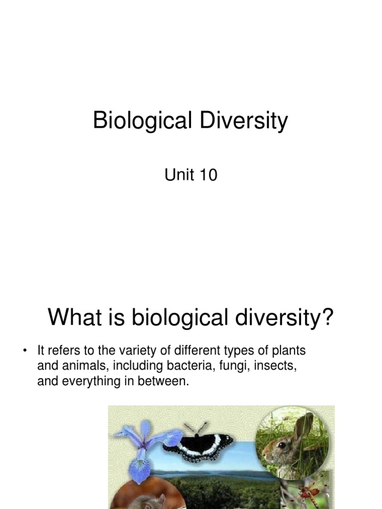 Biological Diversity: Unit 10 | PDF | Taxonomy (Biology) | Cell (Biology)