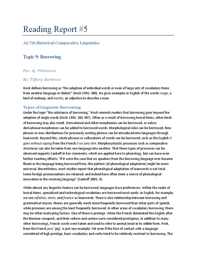 Reading Report Sample | PDF | Lexicon | English Language