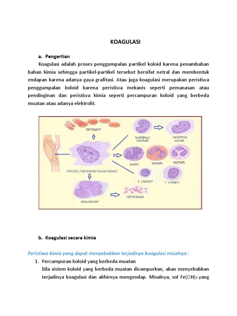 KOAGULASI | PDF