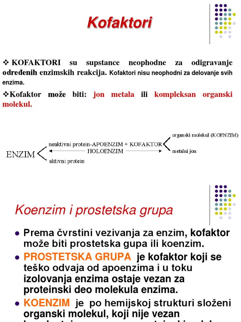Koenzimi 4 | PDF