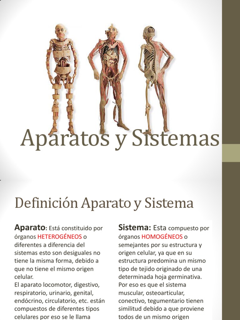 Aparatos y Sistemas