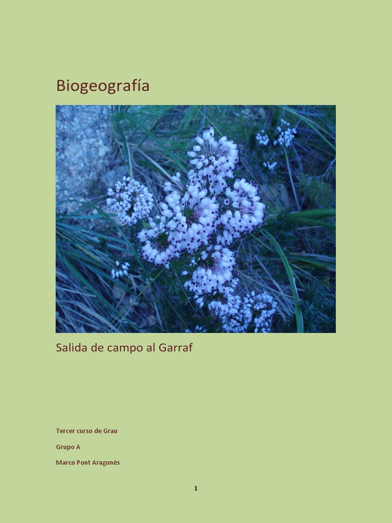 Treball de Camp Al Garraf | PDF | Paisaje | Suelo