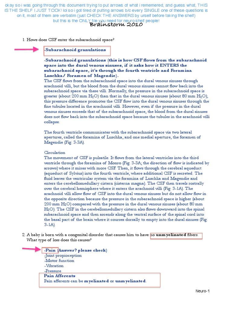 LOOK! Neuroscience Brainstorm 2010 | PDF | Peripheral Neuropathy | Sleep