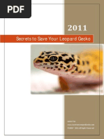 Digestive Disorders in Geckos From Vetlexicon Reptile | PDF | Human ...