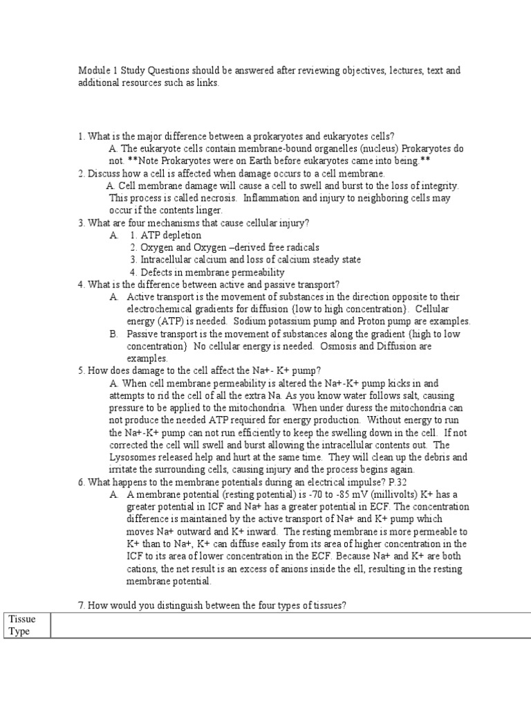 Module 1 Study Questions | PDF | Epithelium | Nerve