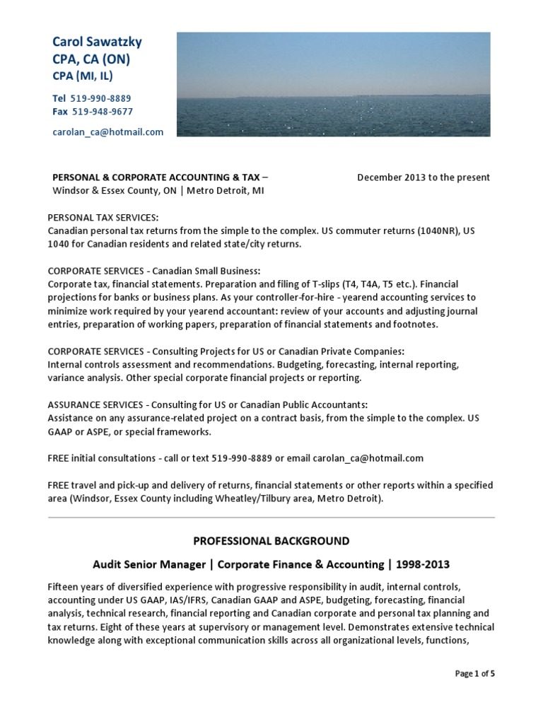 Carol Sawatzky: CPA Services Overview | PDF | Audit | International ...