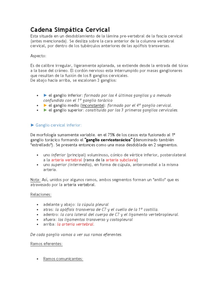 Cadena Simpática Cervical | PDF | Nervio vago | Tórax (anatomía humana)