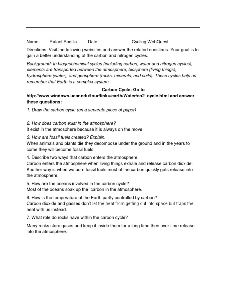 Nutrient Cycling Webquest | PDF | Nitrogen | Carbon Cycle