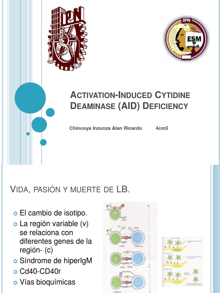 activation-induced-cytidine-deaminase-aid-deficiency-pdf
