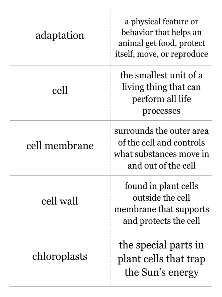 Scott Foresman Science Grade 4 | PDF | Plants | Invertebrate