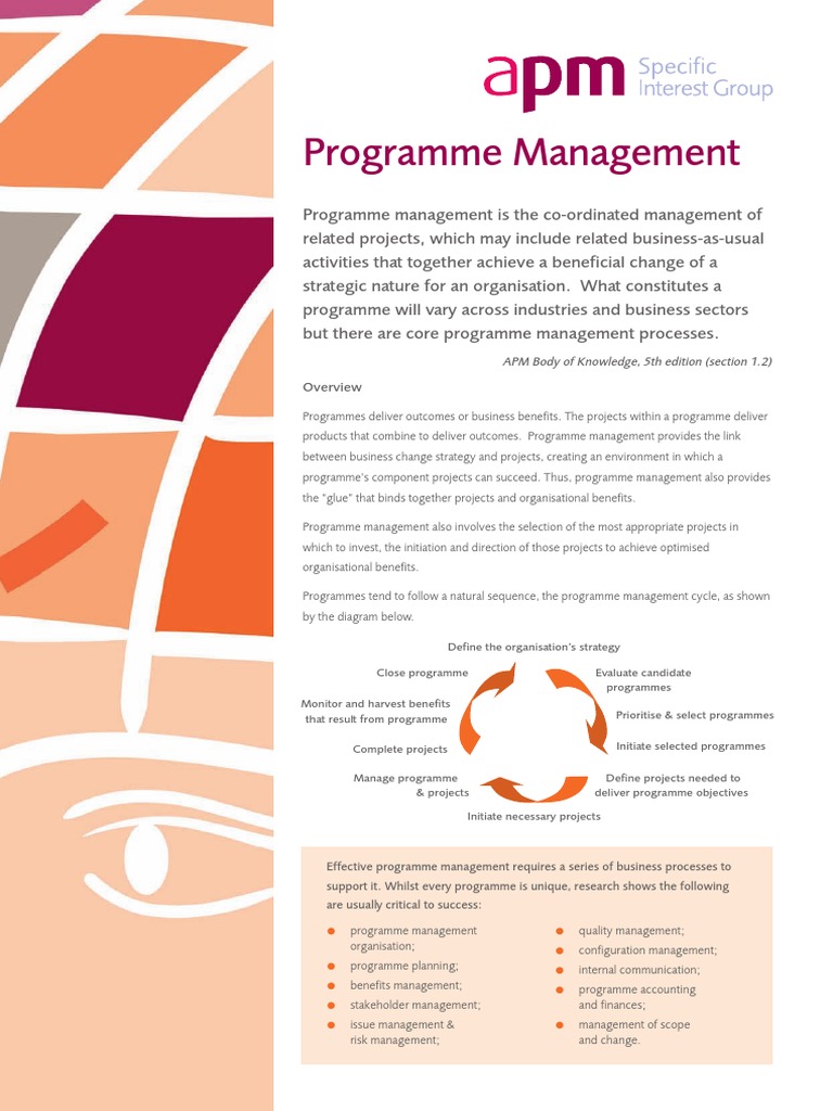 Program Mgmt Fact Sheet-APM | Business | Accountability