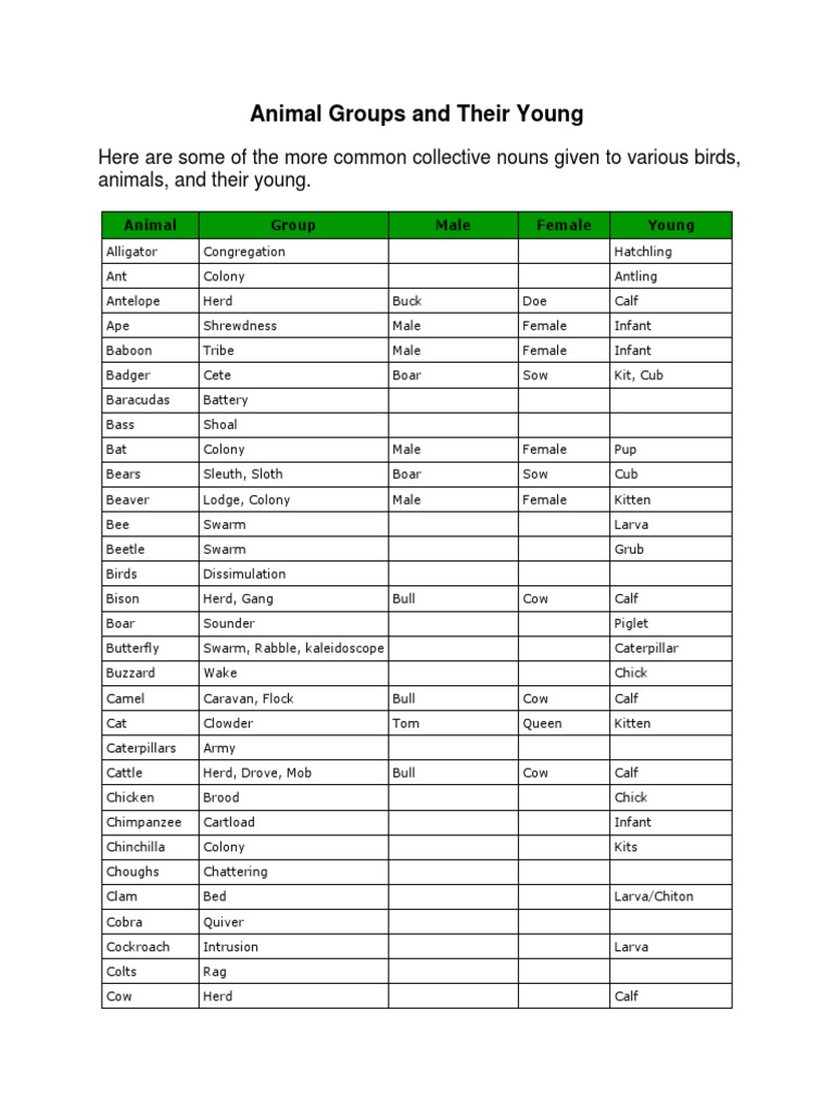 Animal Groups and Their Young | PDF | Calf | Wild Boar