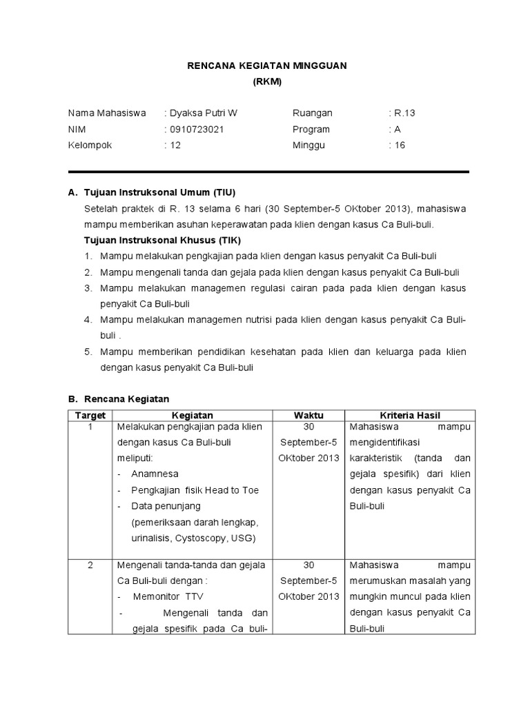 RKM CA Buli-Buli | PDF | Kesehatan Holistik