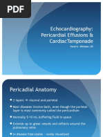 IAC Standards and Guidelines For Adult Echocardiography Accreditation ...