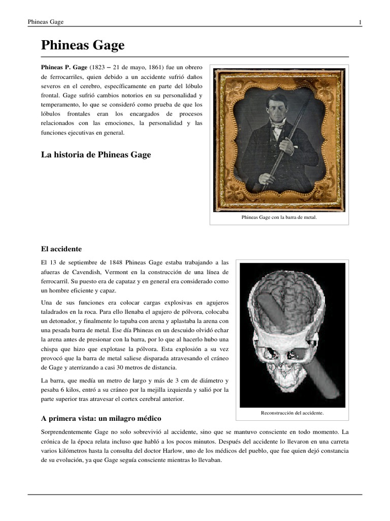 Phineas Gage PDF | PDF | Neurociencia | Sistema nervioso