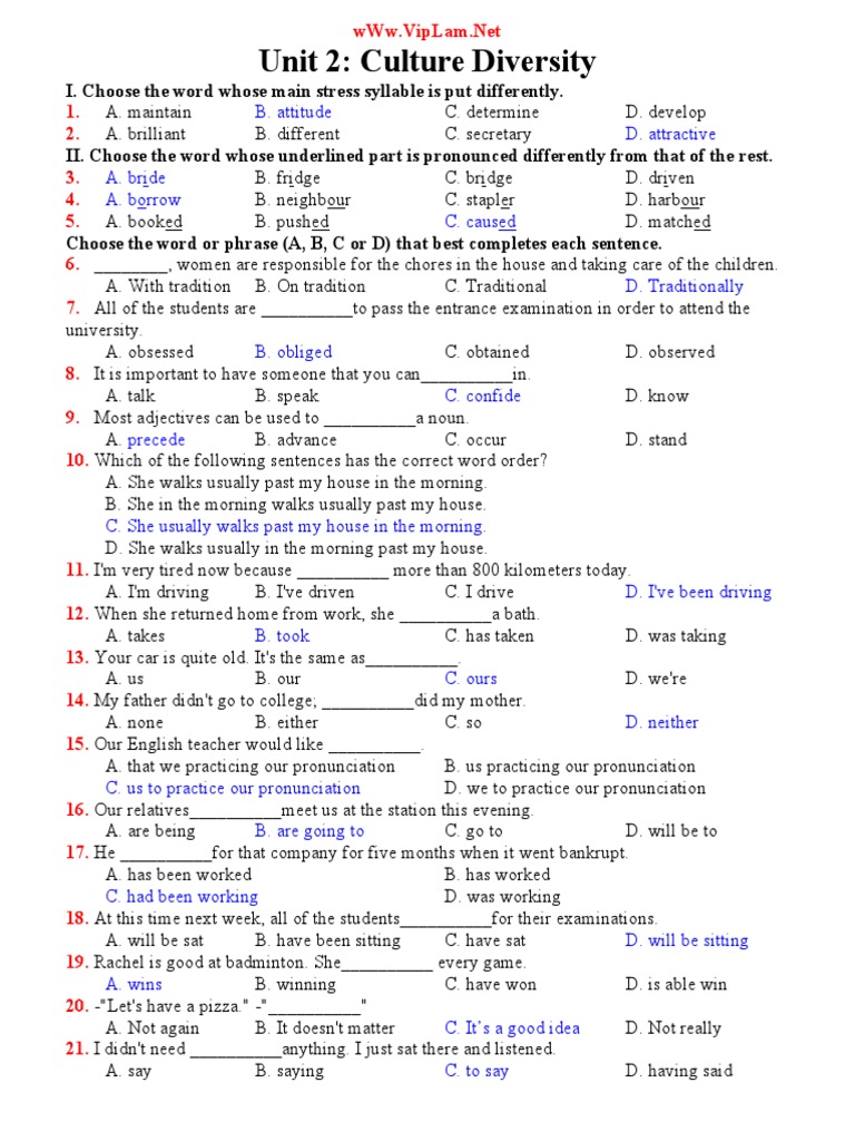 Unit 2 - Culture Diversity | PDF | Conversation
