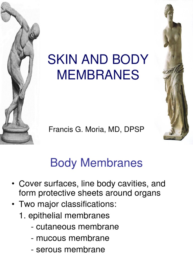 Skin and Body Membranes | PDF | Skin | Epithelium