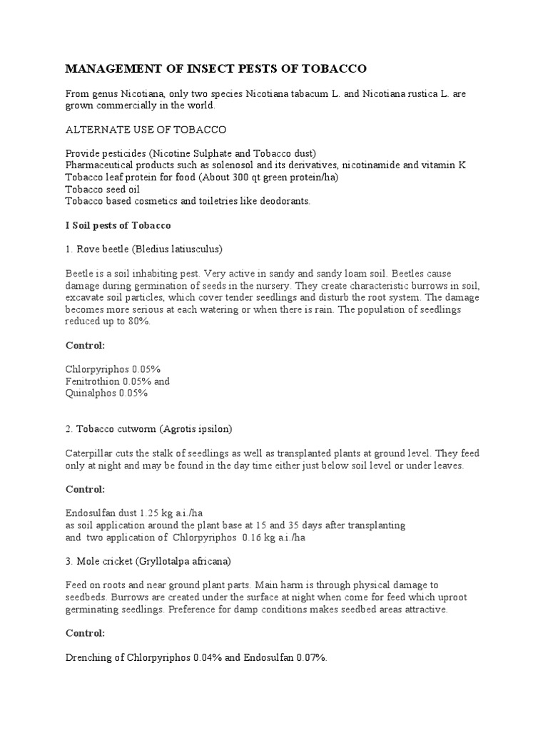 Management of Insect Pests of Tobacco | PDF | Seedling | Tobacco
