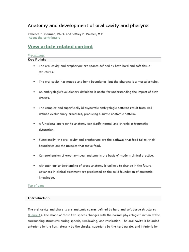 Anatomy and Development of Oral Cavity and Pharynx | PDF | Tongue ...