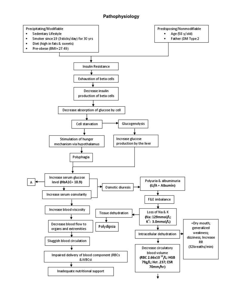 Pathophysiology: Polydipsia | PDF | Inflammation | Coagulation