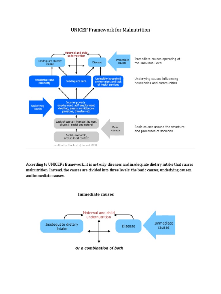 UNICEF Framework For Malnutrition: Immediate Causes | PDF