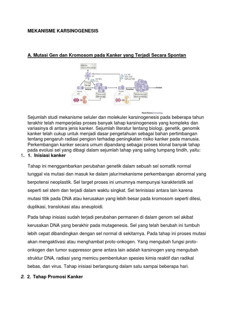Mekanisme Karsinogenesis | PDF