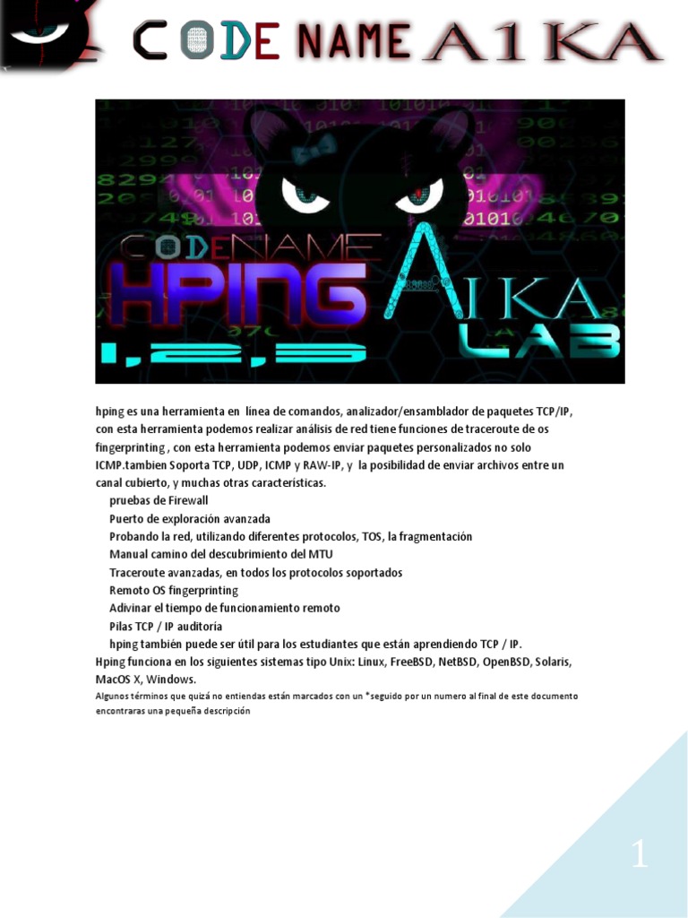 Hping2 Lab | PDF | Protocolo de Control de Transmisión | Estándares de red