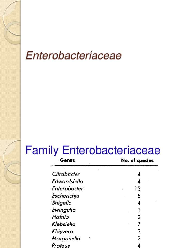 Enterobacteriaceae N Pseudomonas Aeruginosa | PDF | Pseudomonas ...