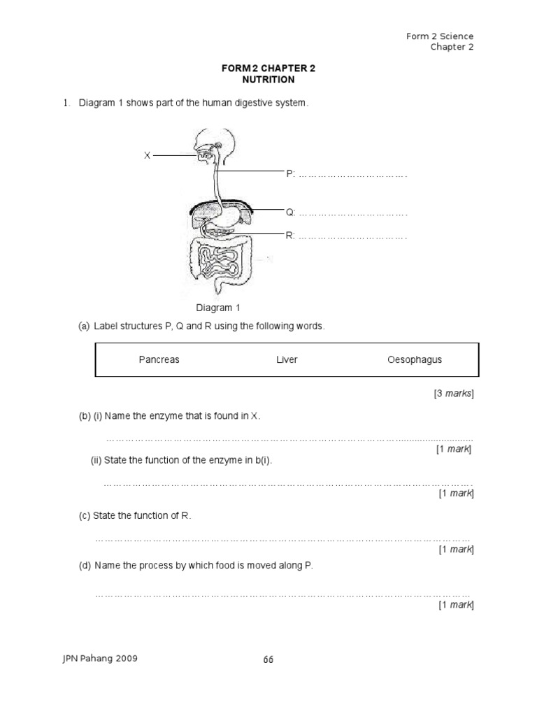 Form 2 Chapter 2 | PDF | Determinants Of Health | Food And Drink