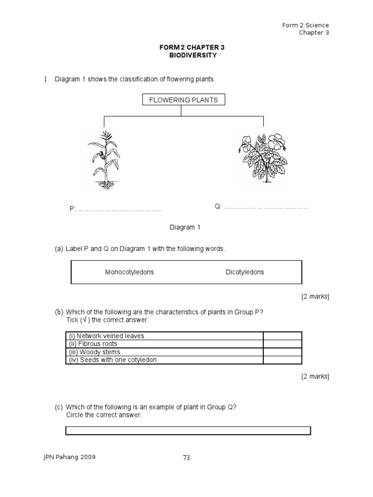 Form 2 Chapter 3 | PDF | Organisms | Plants