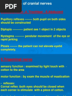Pediatric Oral Mechanism Exam Form | PDF | Tongue | Mouth