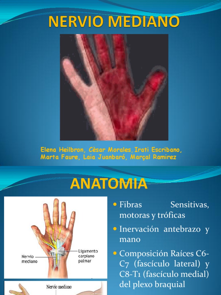 Nervio Mediano | PDF | Síndrome del túnel carpiano | Mano