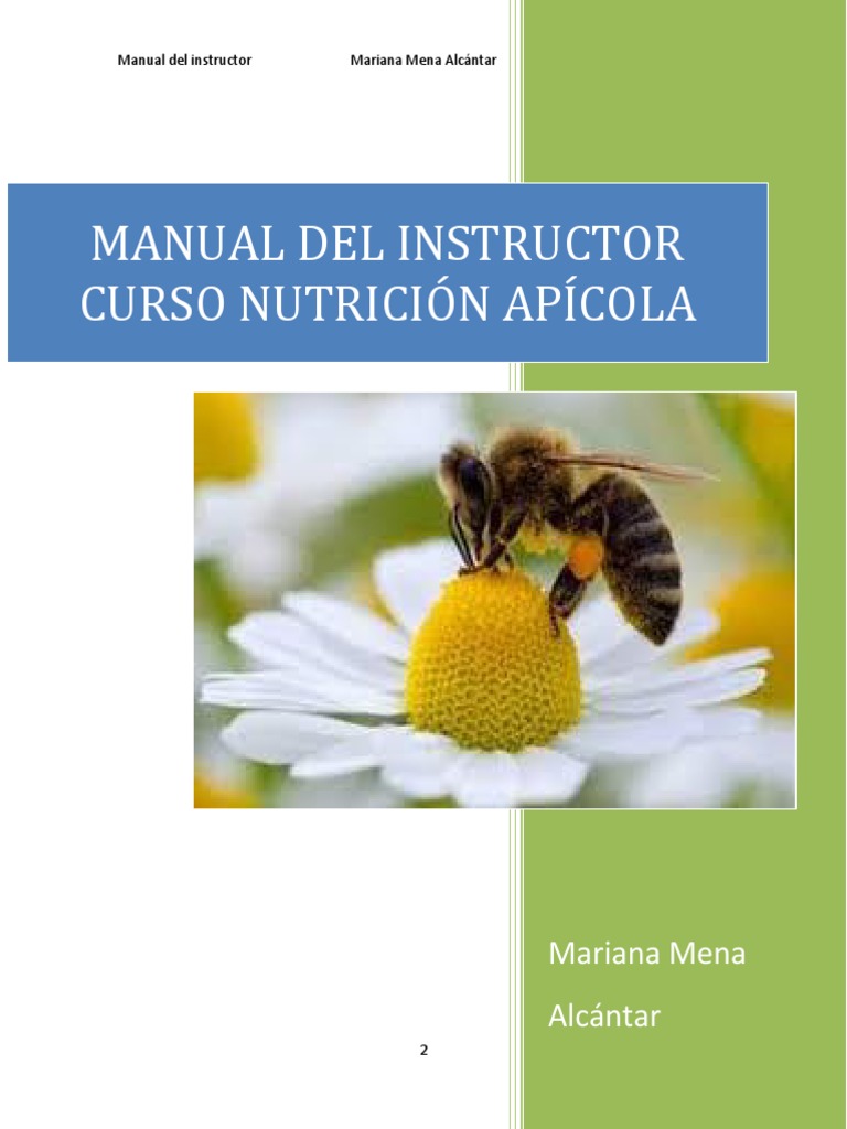 Manual Del Instructor Terminado | PDF | Western Honey Bee | Apicultura
