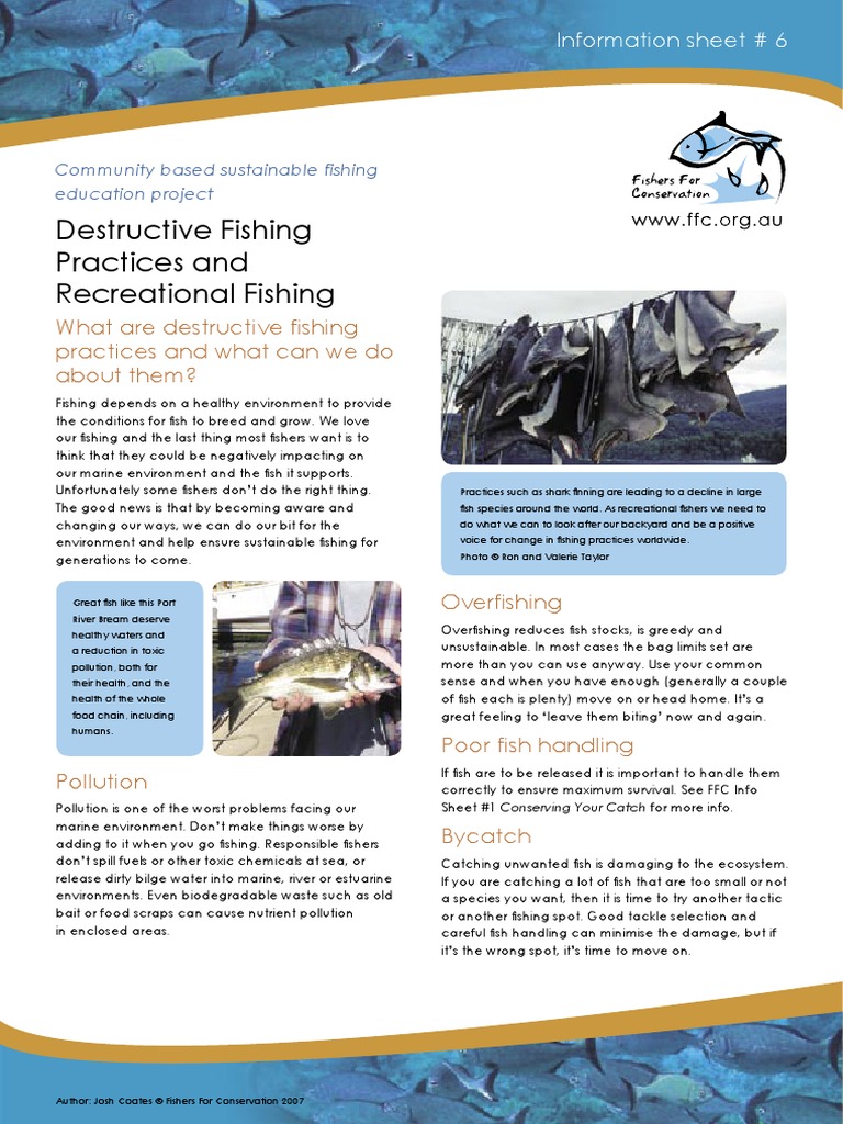 6 Destuctive Fishing Web | PDF | Marine Biology | Overfishing