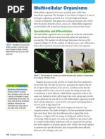 Density Study Guide | PDF