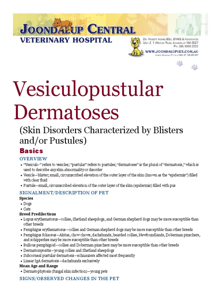 vesiculopustular dermatoses | Cutaneous Conditions | Systemic Lupus ...