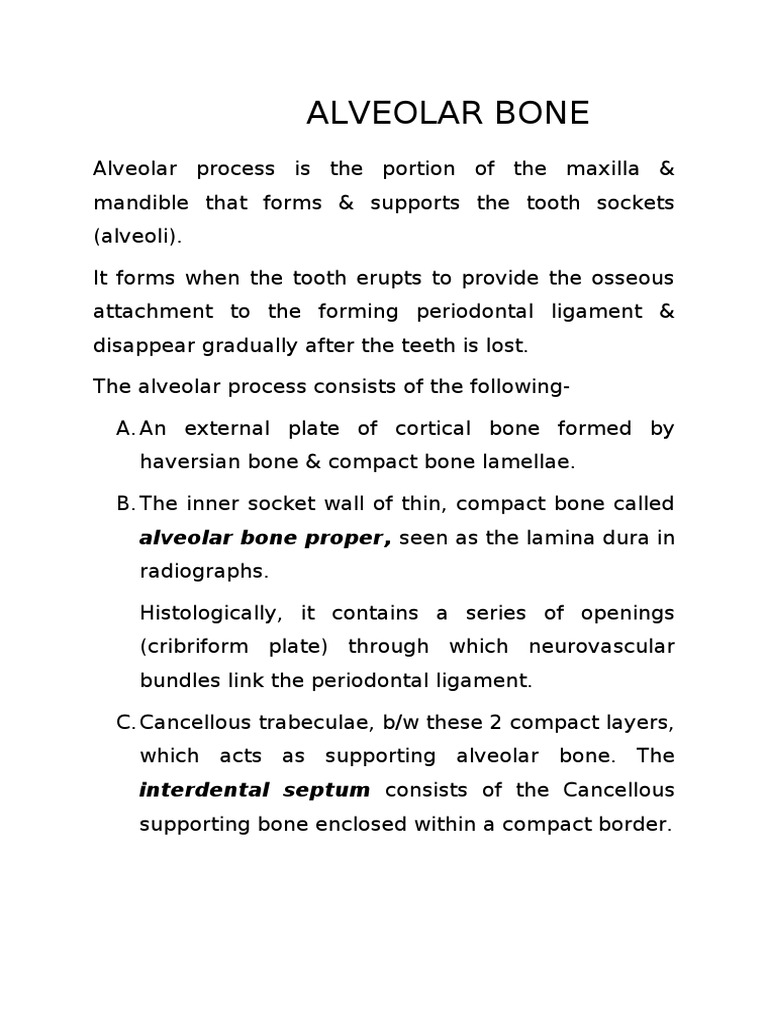 Alveolar Bone Proper Components