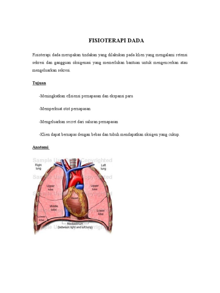 Fisioterapi Dada | PDF