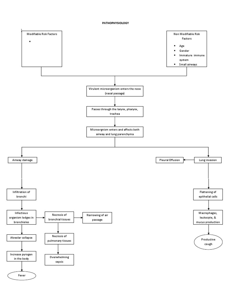 Pathophysiology of Pneumonia