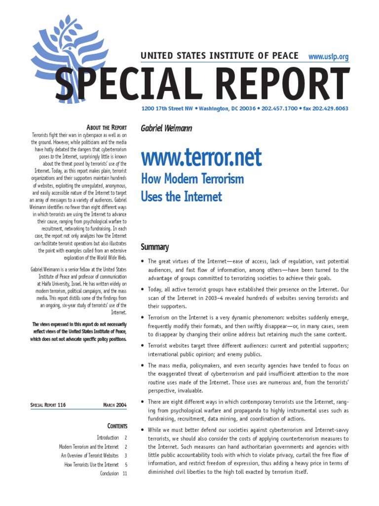 Terrorism's Internet Strategies Explained | PDF | Al Qaeda | World Politics
