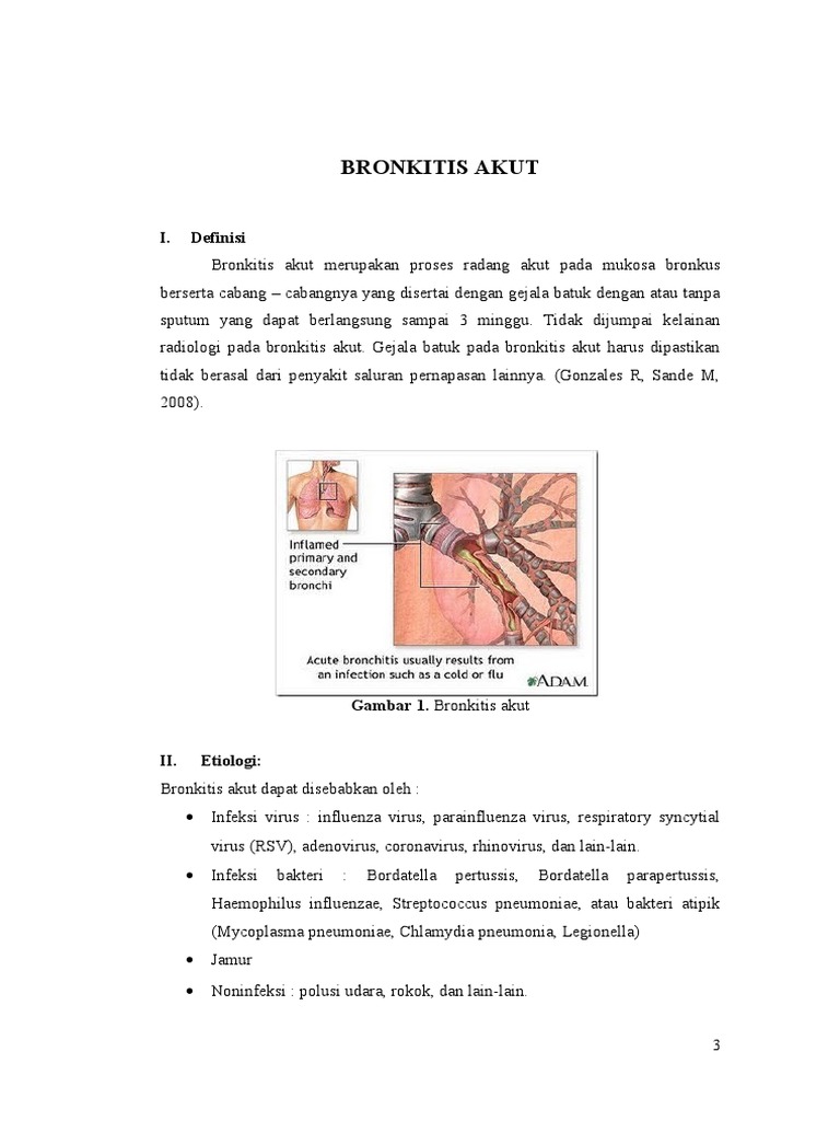 Bronkitis Akut | PDF