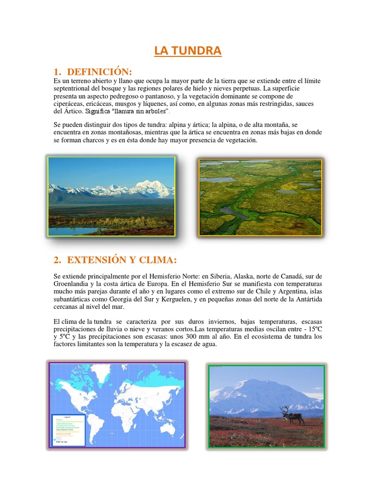 La Tundra | PDF | Geografía Física | Ciencias de la Tierra