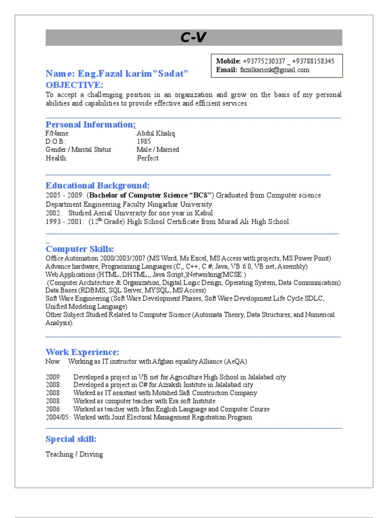 Eng. Fazal Karim Sadat's CV Summary | PDF | Microsoft Access | Computer ...