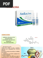 Cloranfenicol: Propiedades y Usos Antibacterianos | PDF | Las bacterias ...